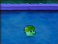 Sea-shroom | Plants vs. Zombies Wiki | Fandom