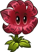 Meteor Flower/Gallery | Plants vs. Zombies Wiki | Fandom