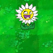 Epic Daisy | PvZ Battles Wiki | Fandom