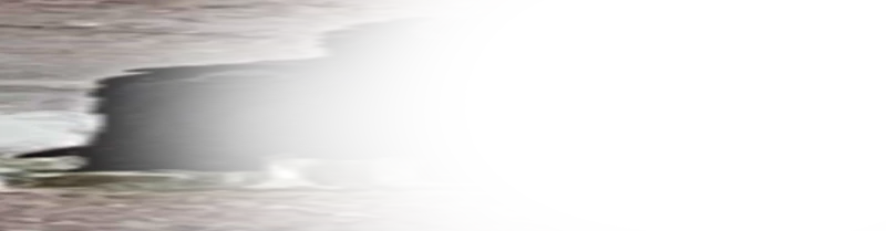 The Blackest Bird | Plasma Temple Wiki | Fandom