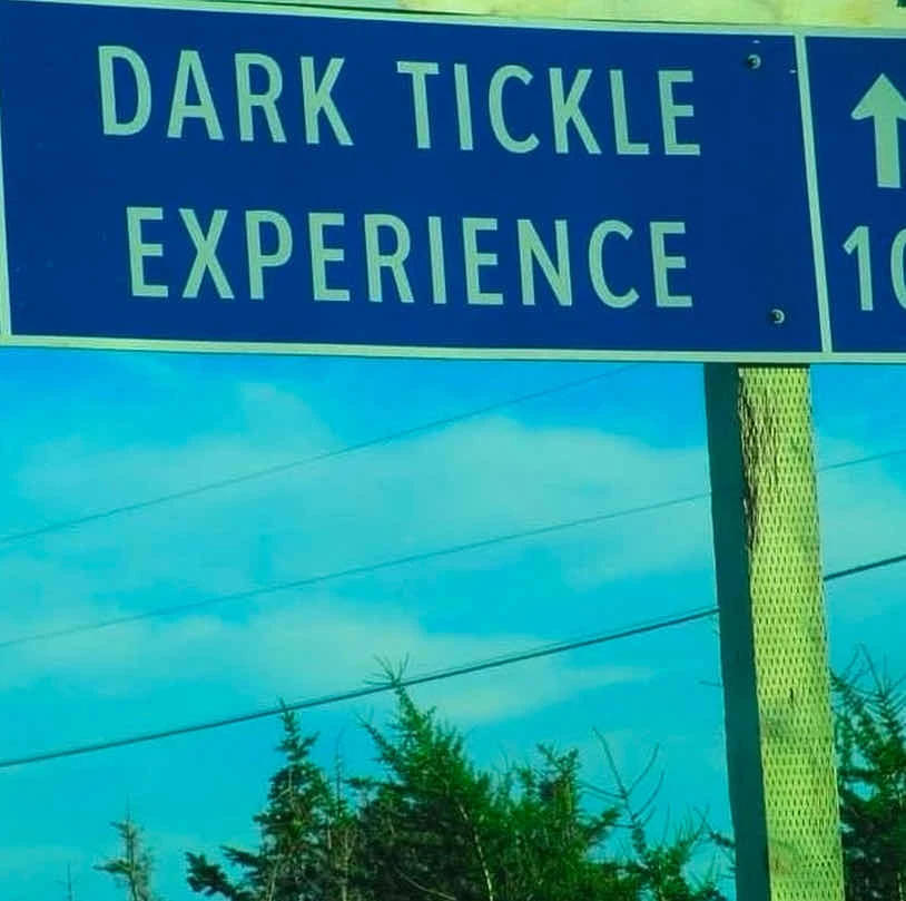 Dark Tickler | Plasma Temple Wiki | Fandom