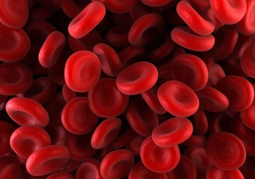 Gosh we’re going to need more blood | Plasma Temple Wiki | Fandom