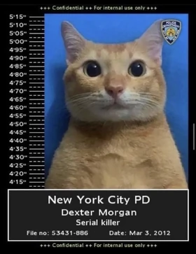 Dexter Morgan | Plat Cinematic Universe Wiki | Fandom