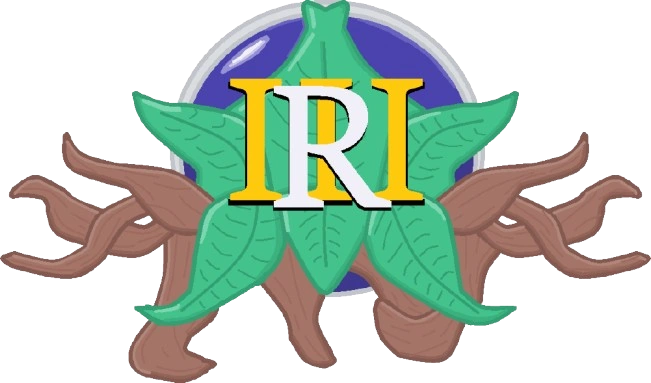 Raiders 3: The Ancient World | Platers Wiki | Fandom