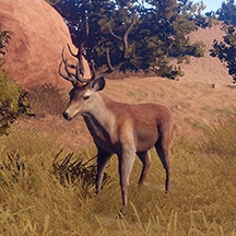 Stag | Rust Wiki | Fandom