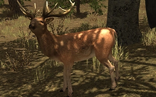 Deer (Legacy) | Rust Wiki | Fandom