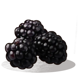 Blackberries | Rust Wiki | Fandom
