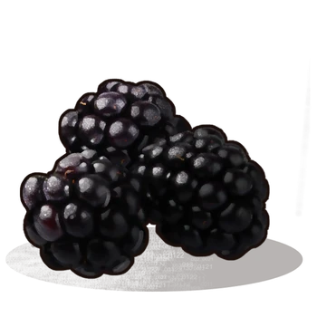 Blackberries | Rust Wiki | Fandom
