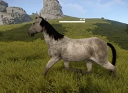 Horses | Rust Wiki | Fandom