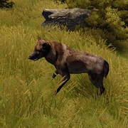 Wolf | Rust Wiki | Fandom