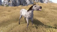 Horses | Rust Wiki | Fandom