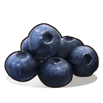 Single Blueberry Png