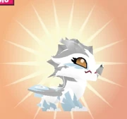 Pet Dragon | Play Wild Item Worth Wiki | Fandom