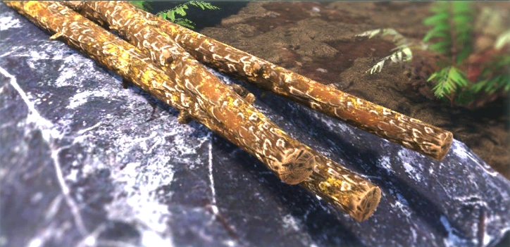 Long Stick | ASKA Wiki | Fandom