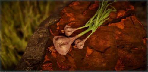 Garlic Seeds | ASKA Wiki | Fandom