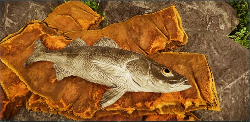 Seabass | ASKA Wiki | Fandom