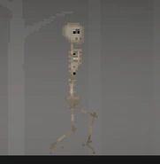 Pumpkin | Melon Playground Wiki | Fandom