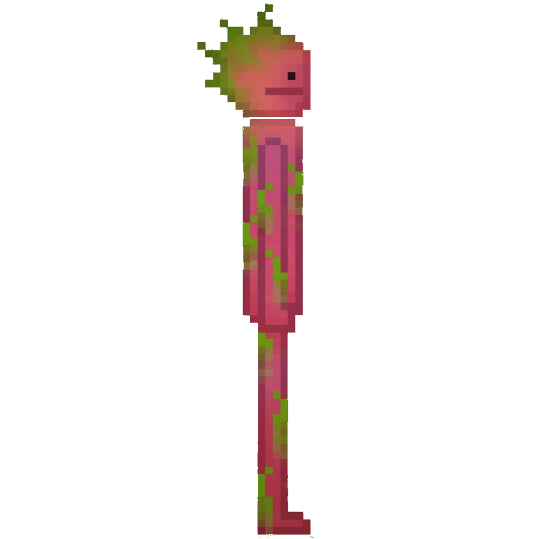 Dragon Fruit (Living) | Melon Playground Wiki | Fandom