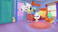 Junior | PlayKids Wiki | Fandom