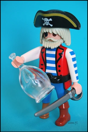 Kenny Doug Vogel | Playmobil Wiki | Fandom