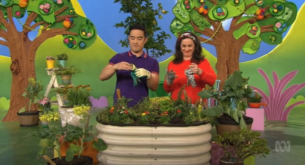 Swap And Share (Thursday)/Gallery | Play School Wiki | Fandom
