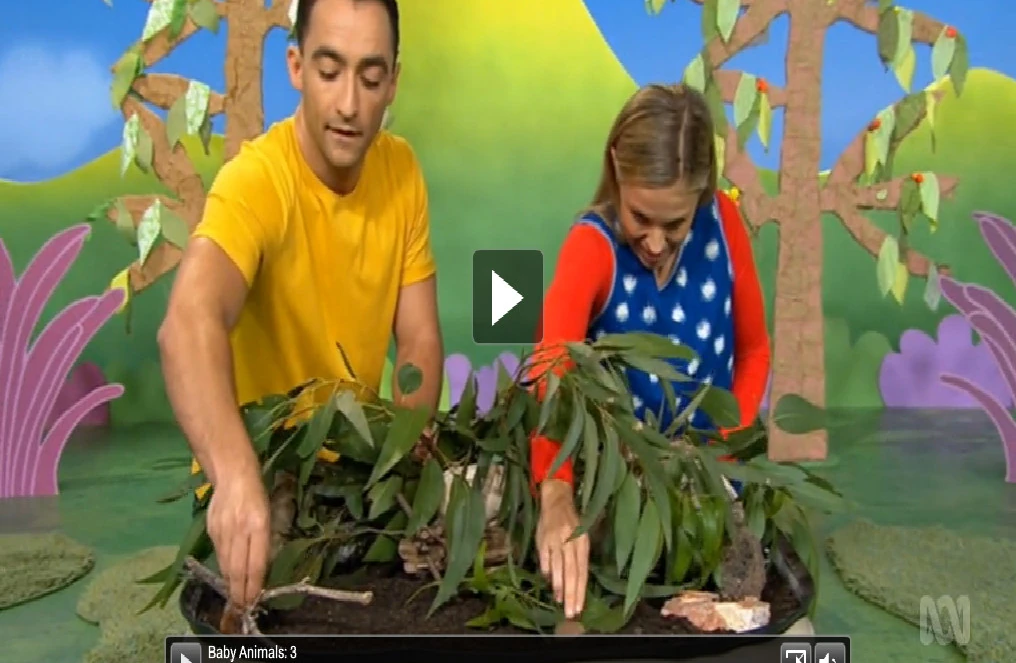 Baby Animals (Wednesday)/Gallery | Play School Wiki | Fandom
