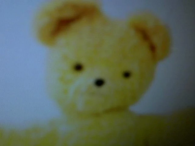 The Bear Brothers | Play School Fanon Wiki | Fandom