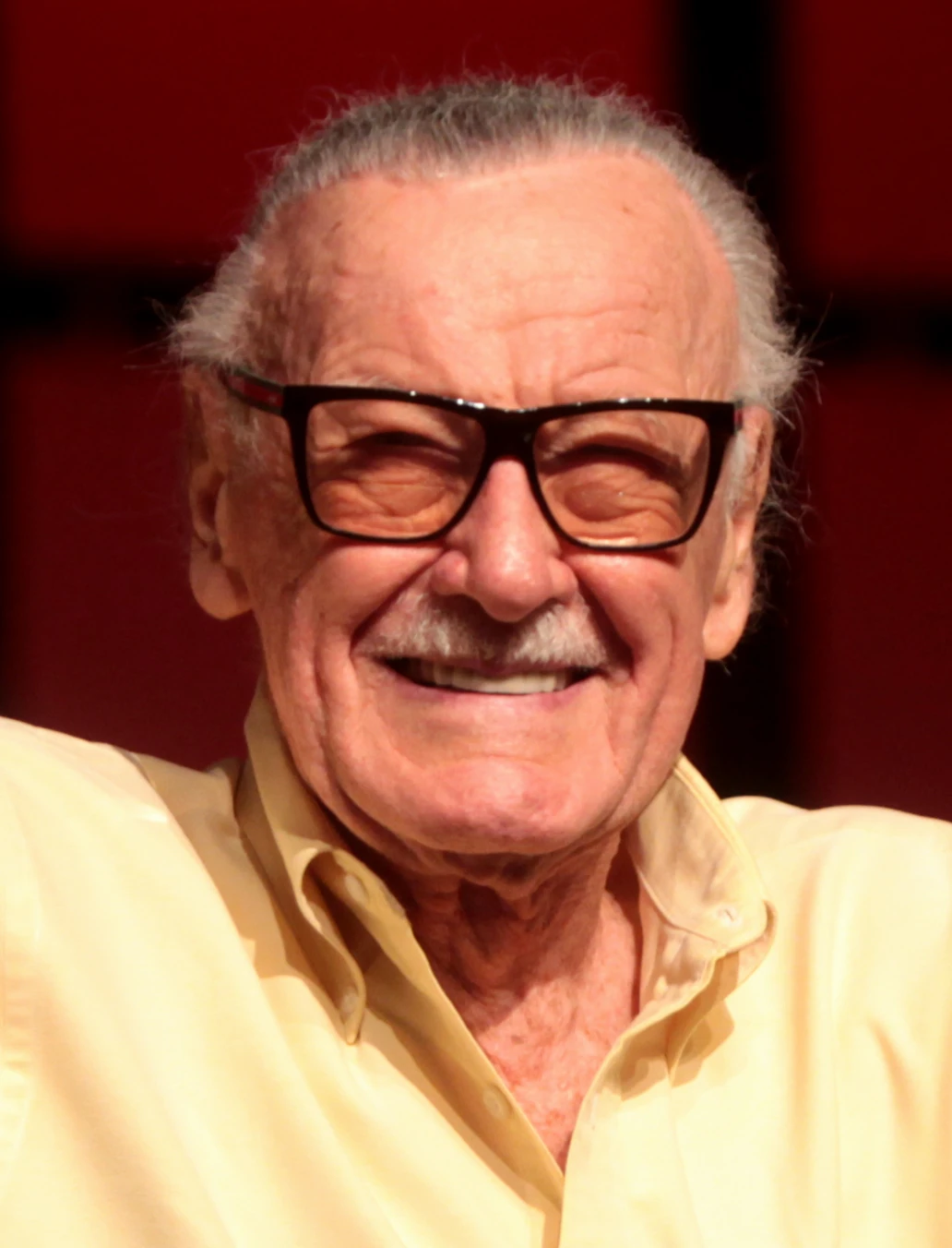 Stan Lee | PlayStation Wiki | Fandom