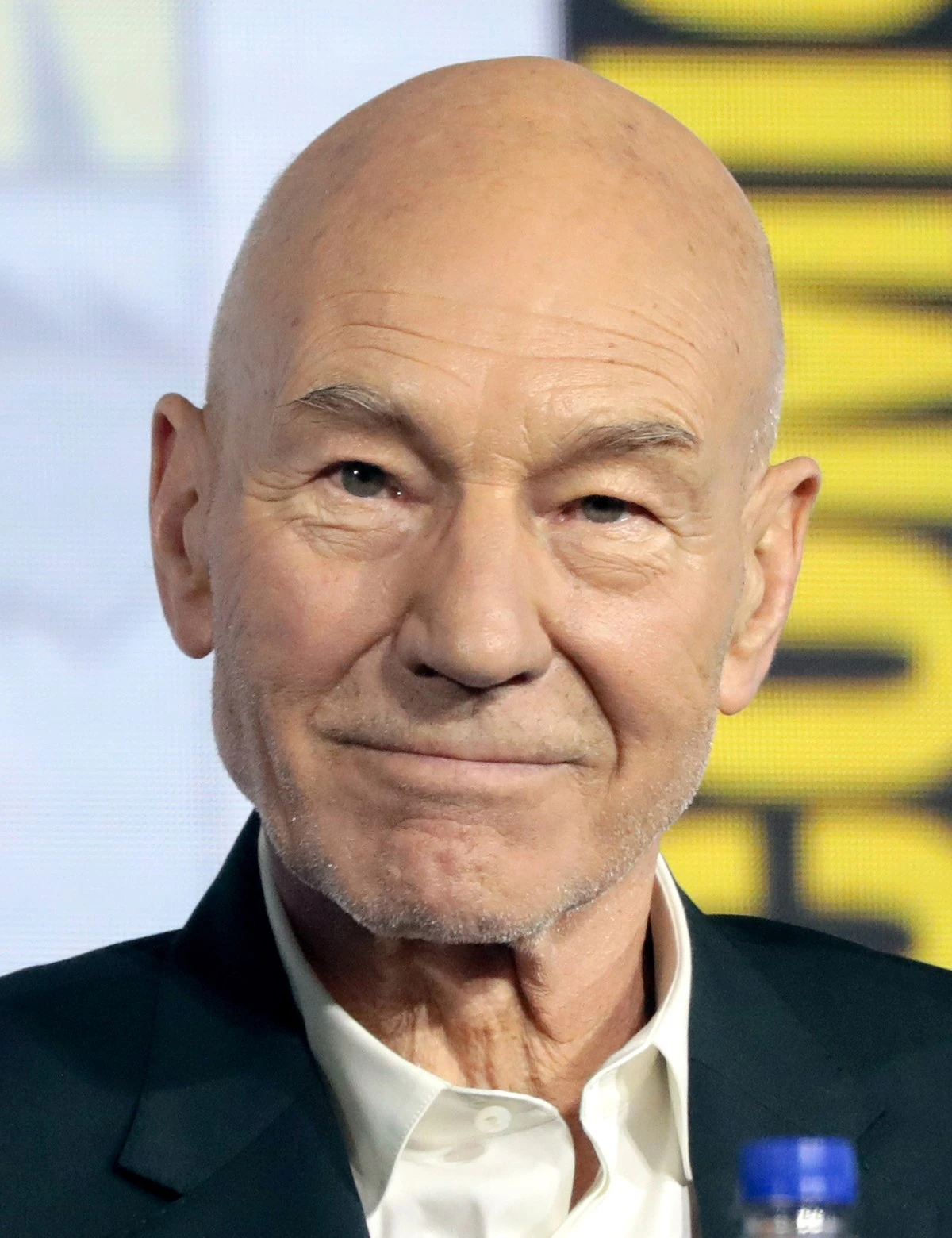Patrick Stewart | PlayStation Wiki | Fandom