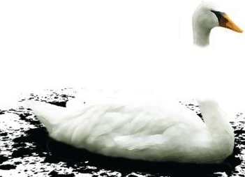 White Swan | PlayStation All-Stars Wiki | Fandom