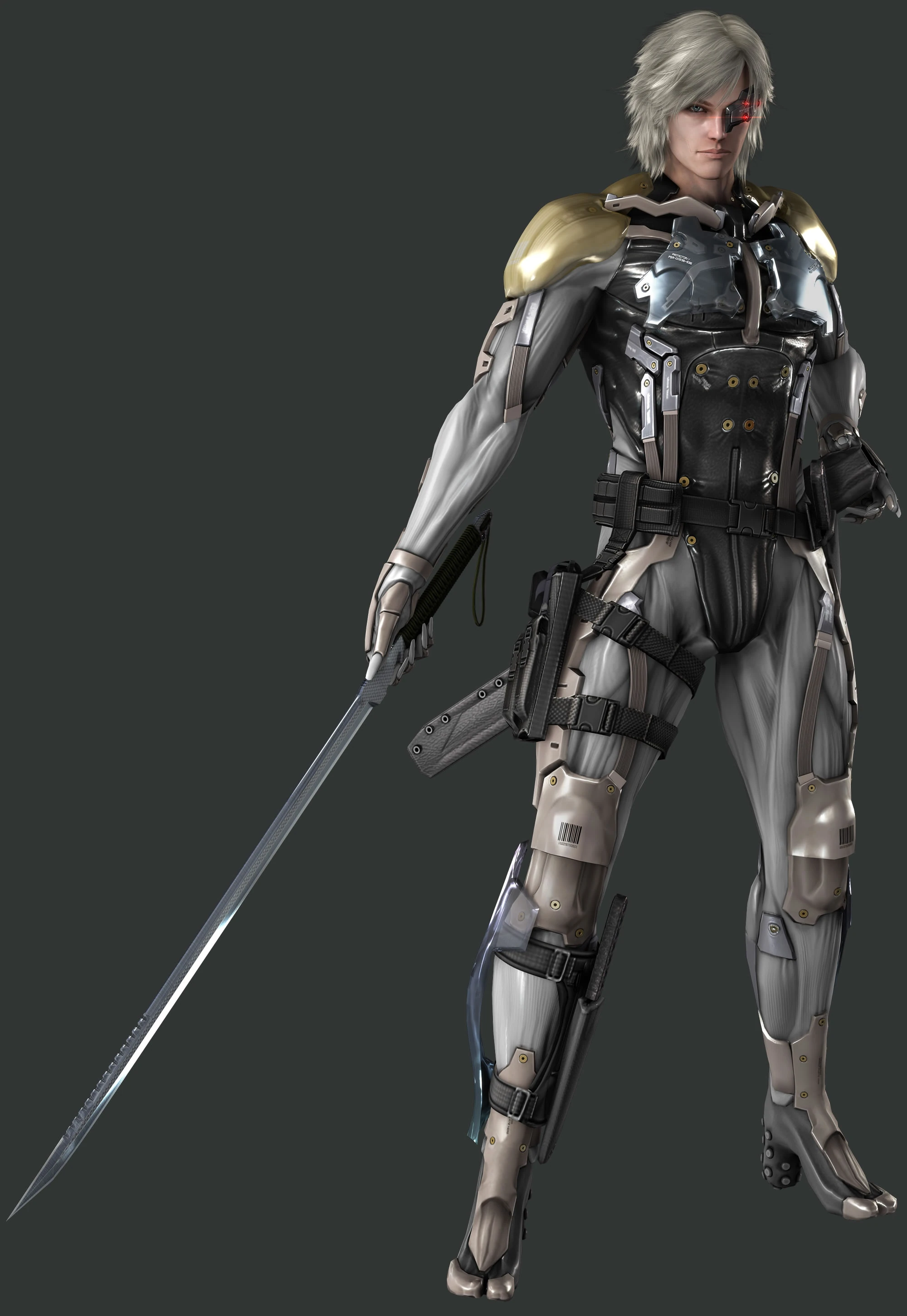 Metal Gear Rising Revengeance Raiden Suit