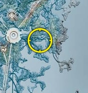 Wodospady Protodermis | Encyklopedia Bionicle | Fandom