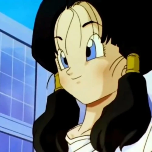 Videl | Dragon Ball Wiki | Fandom