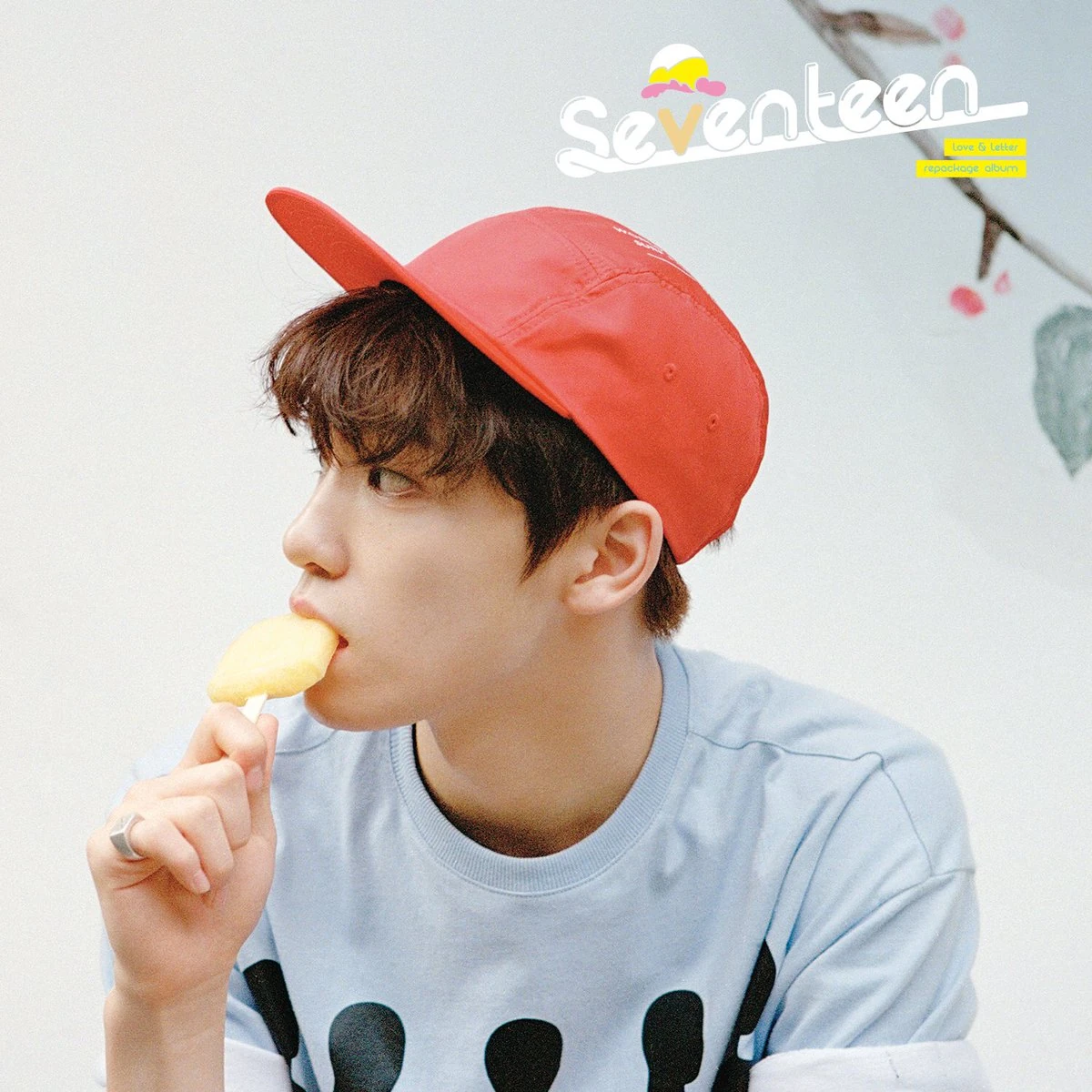 Lee Chan Pledis Seventeen