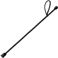 Palcat | Howrse Wiki | Fandom