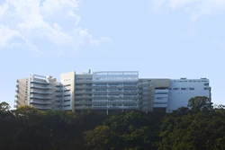 PLKCKY School | PLKCKY Wiki | Fandom