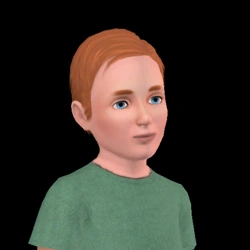 Aiden O'Connell | Simspedia | Fandom