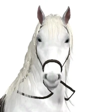 Marney Martingale | Simspedia | Fandom