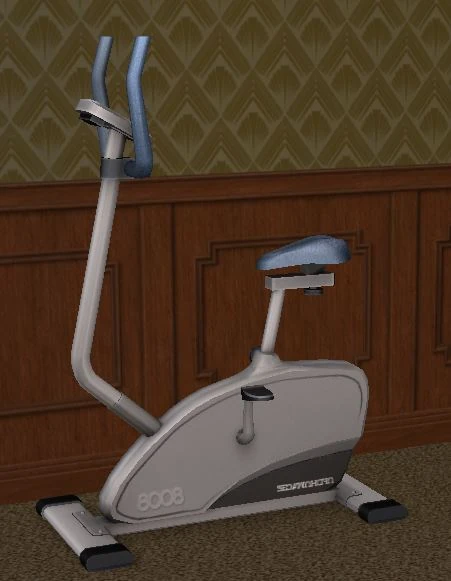 Rower do ćwiczeń | Simspedia | Fandom