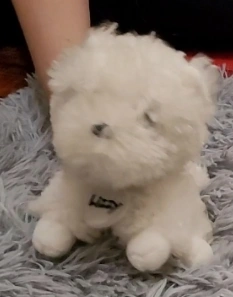 Lizzy | Plush Show Wiki | Fandom