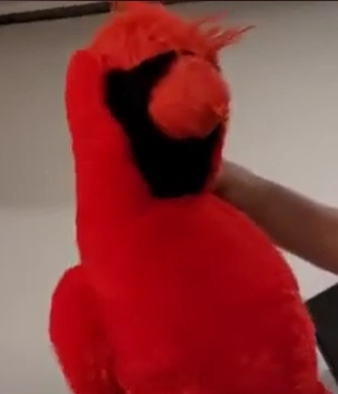 Cardinal | Plush Show Wiki | Fandom