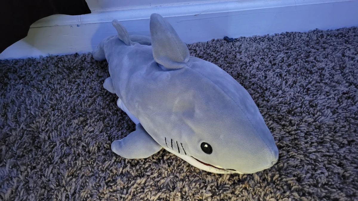 Shark | Plush Show Wiki | Fandom