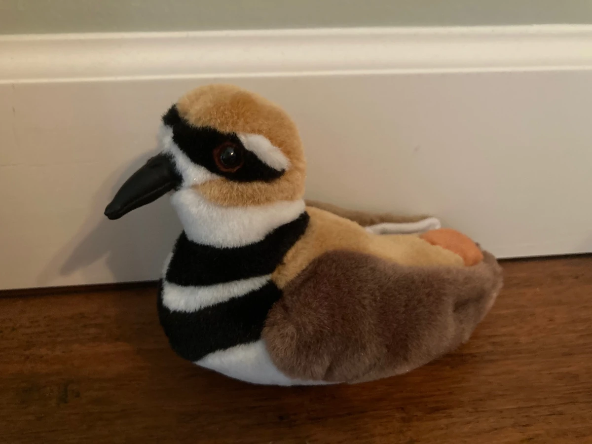 Wild Republic Audubon Killdeer | Plush Animals Wiki | Fandom