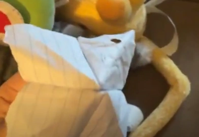 Chatterbox | PLUSHIE PEOPLE Wiki | Fandom