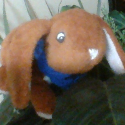 Ruby | Plushie Planet Wiki | Fandom