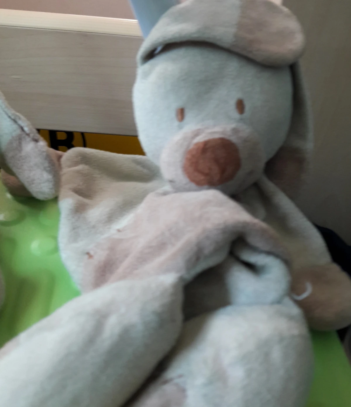 Presidents of APU | Plushie Planet Wiki | Fandom