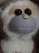 Andrew | Plushie Planet Wiki | Fandom