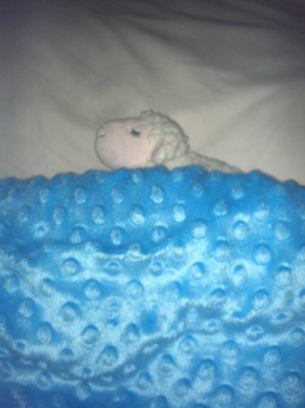 Sleepy Sheepy | Plush Pals Wiki | Fandom