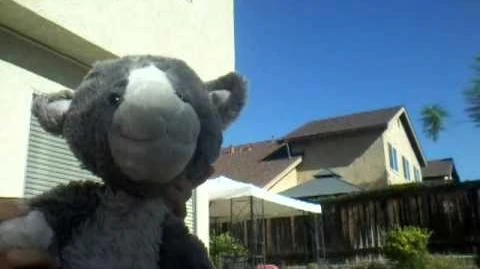 Meet Chris The Cat | PlushPunks Wikia | Fandom