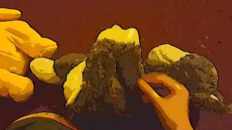 The PP Cartoon Special | PlushPunks Wikia | Fandom